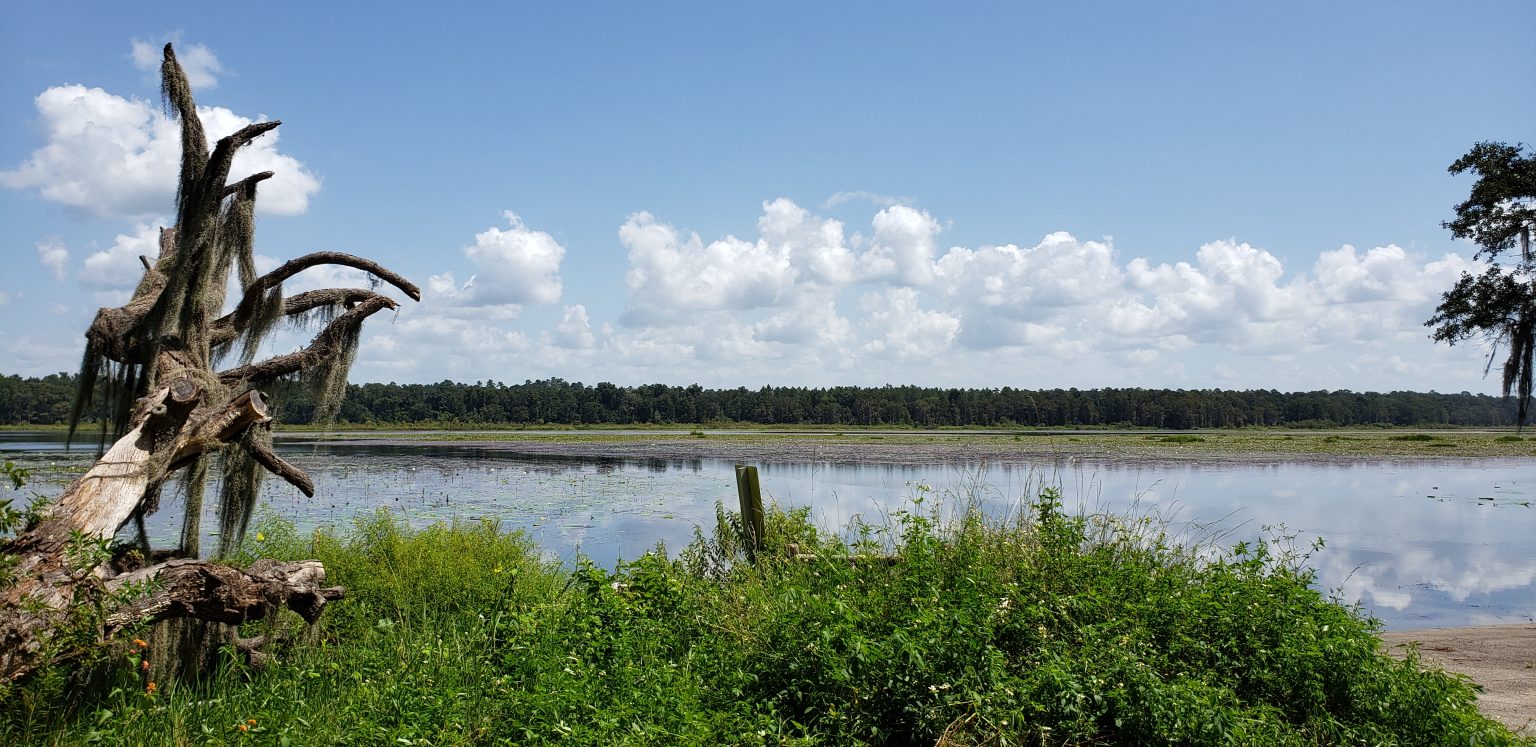 Top 5 Kayak Launches - Explore Tallahassee - Living In Tallahassee